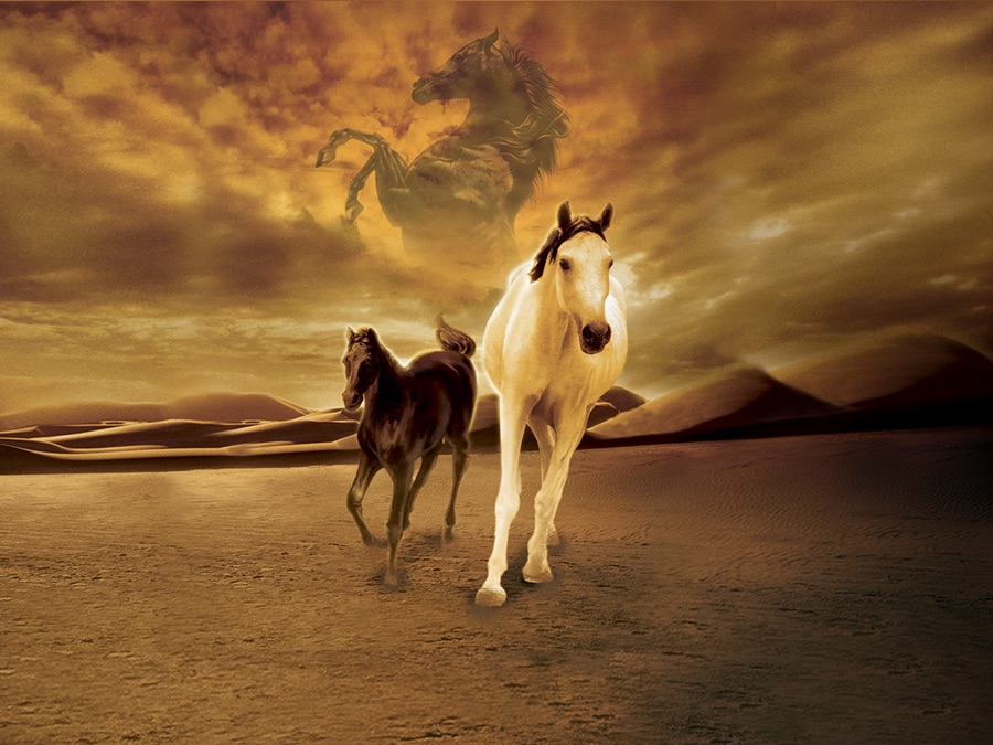 O Jovem Corcel Negro - Apple TV (BR)