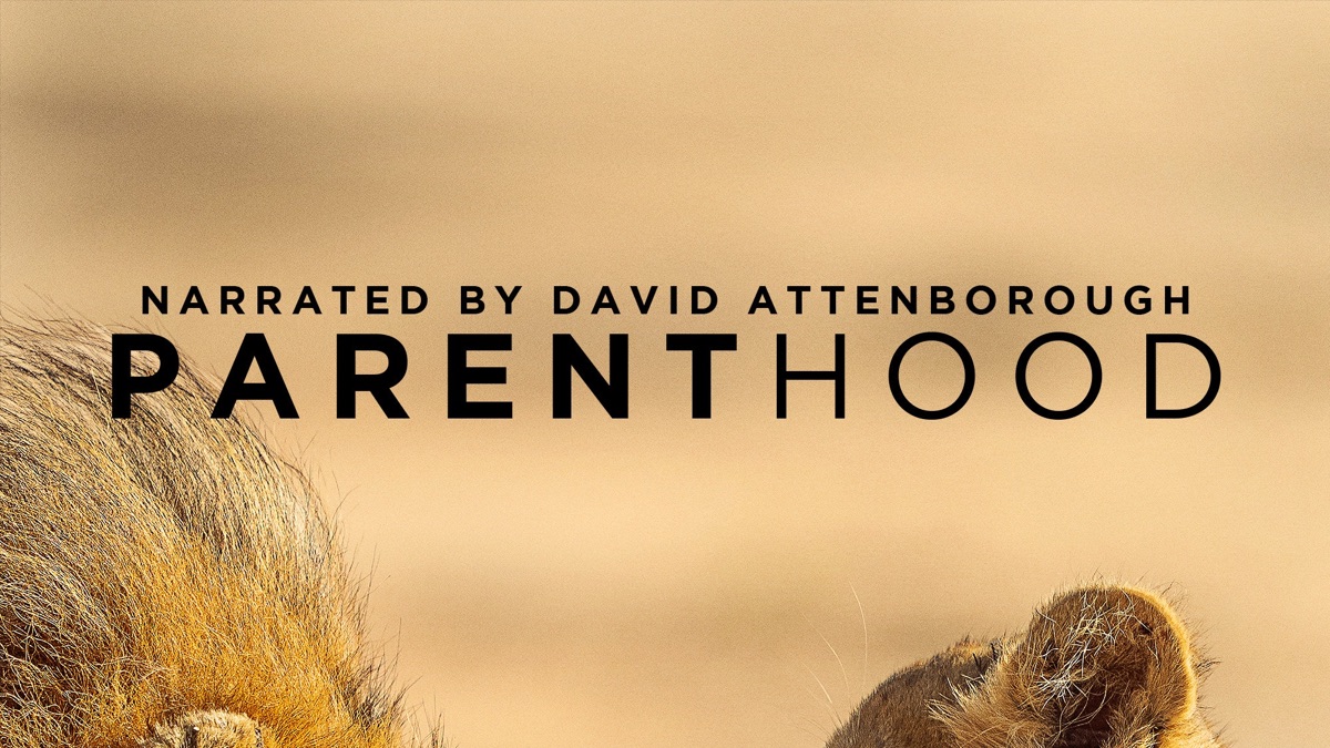 ‎Parenthood - Apple TV