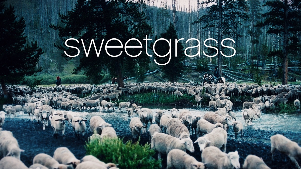 ‎Sweetgrass —Apple TV