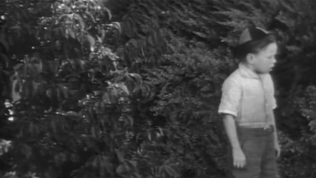 The Little Rascals: Classic and Hidden Episodes - Apple TV