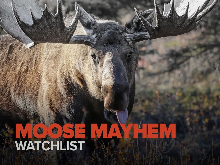 Moose Mayhem Watchlist - Apple TV