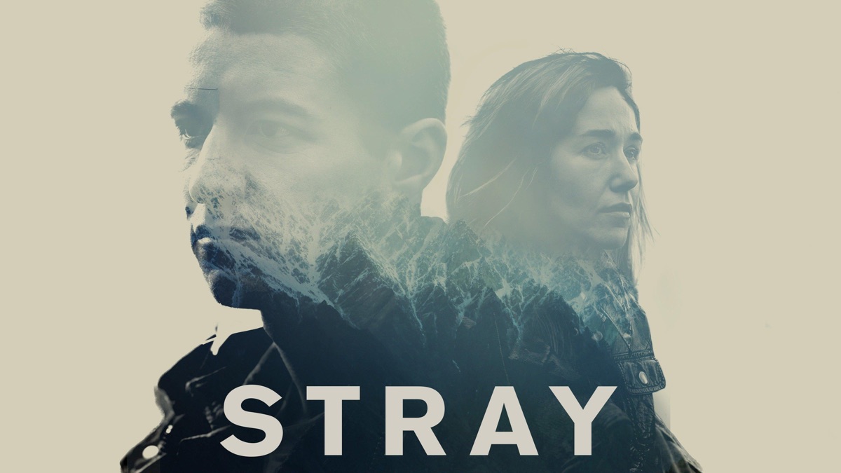 Stray - Apple TV