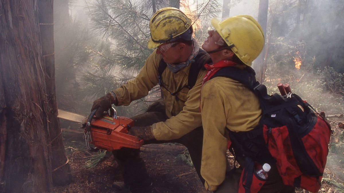 In the Line of Duty: Smoke Jumpers - Apple TV