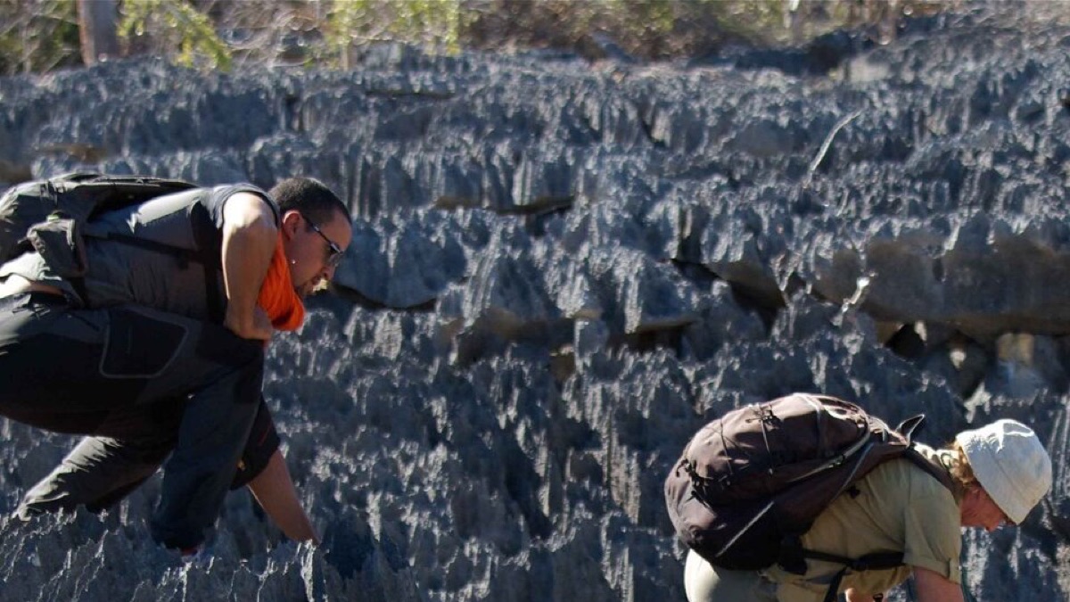 ‎Namoroka - Apple TV