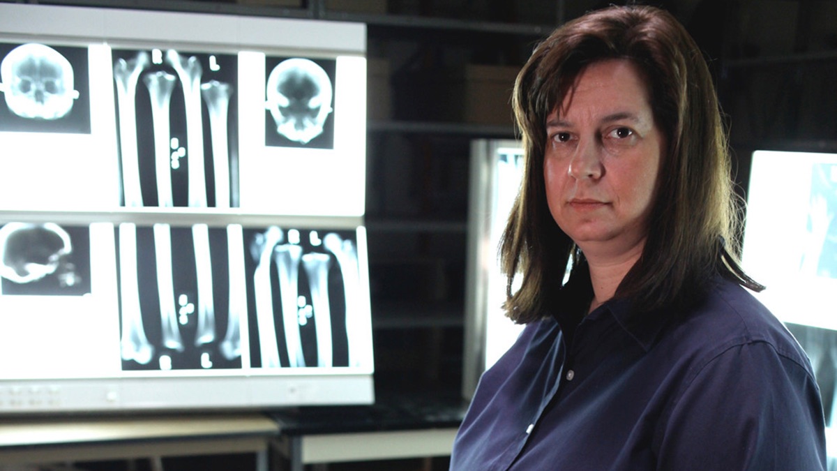 History Cold Case USA - Apple TV (AU)