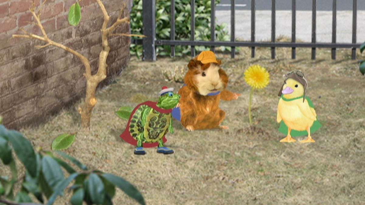 Save the Tree! / Save the Elephant! - Wonder Pets (Series 1, Episode 3 ...