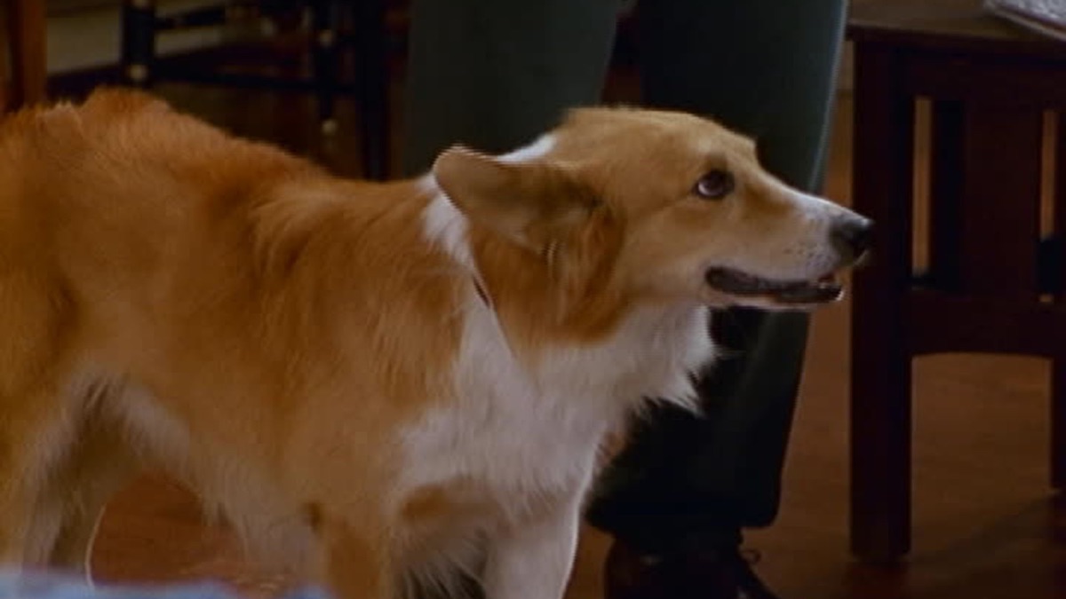 ‎An Angel For Murray – Mad About You (Season 4, Episode 6) - Apple TV (AU)