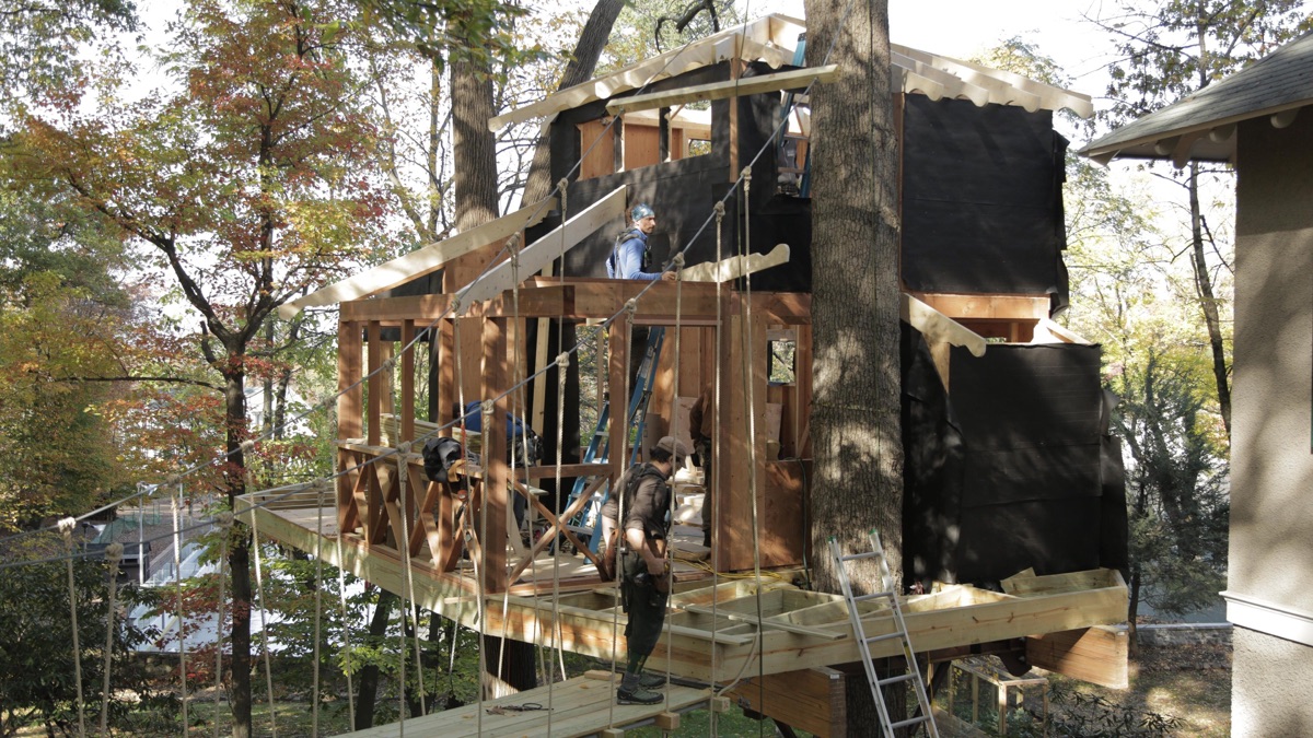 How 'Bout Them Apples - Treehouse Masters (Series 7, Episode 3) - Apple ...