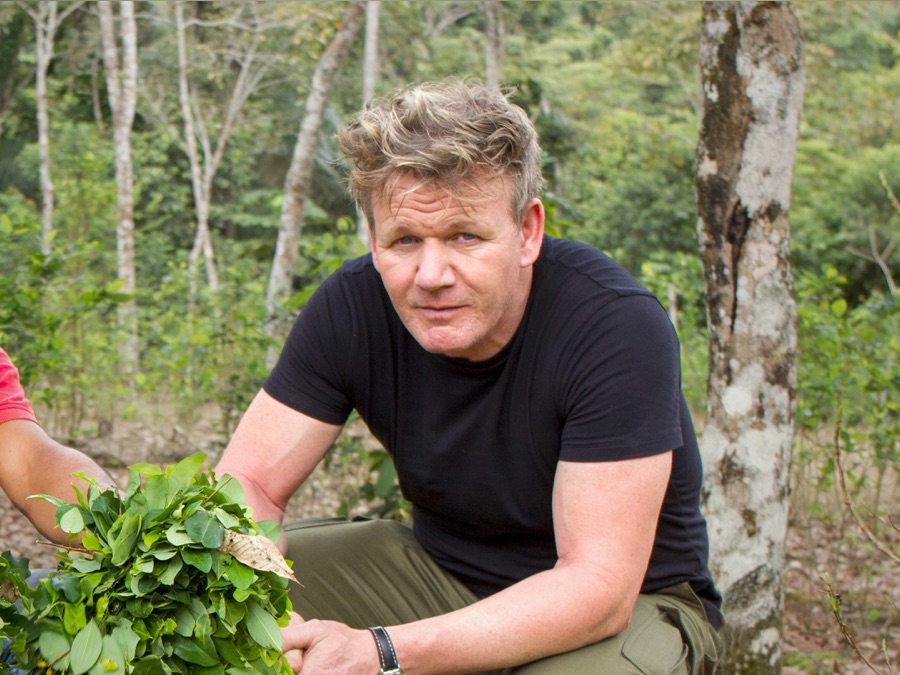 Gordon Ramsay en guerre contre la cocaïne - Apple TV (FR)