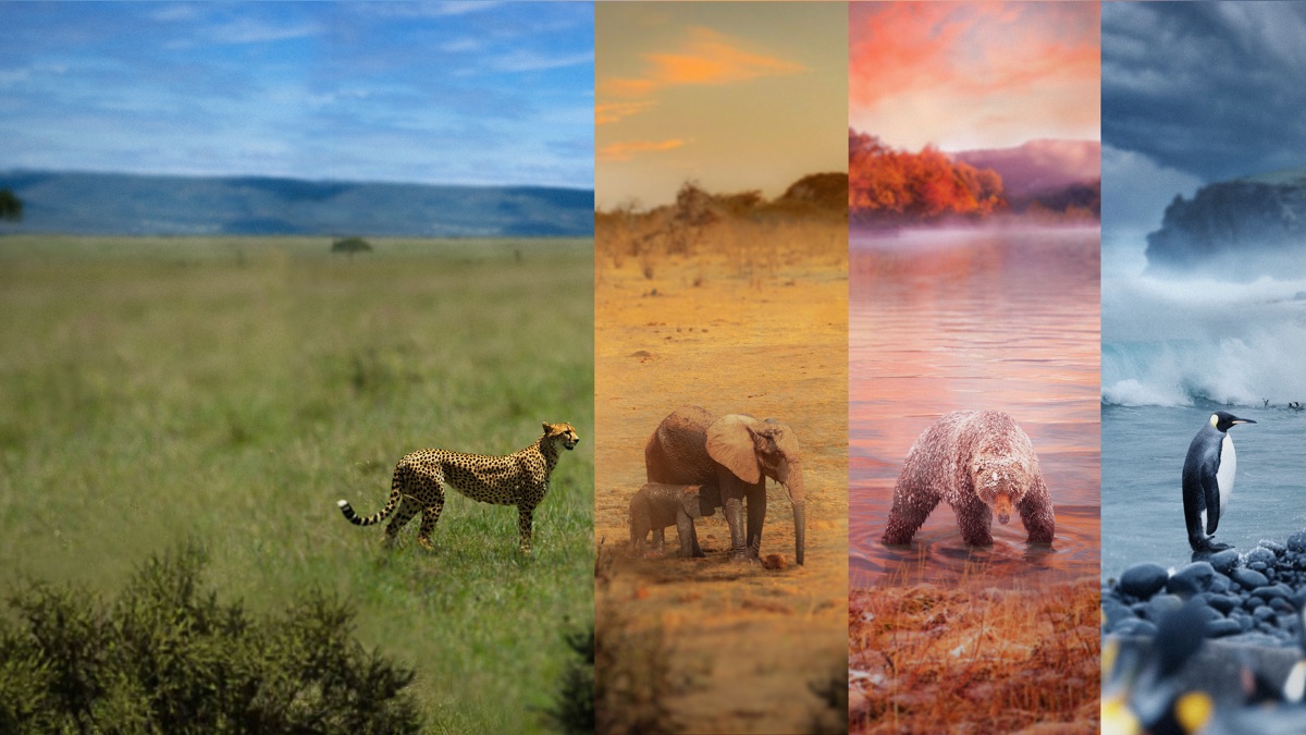 A Year On Planet Earth - Apple TV (AU)