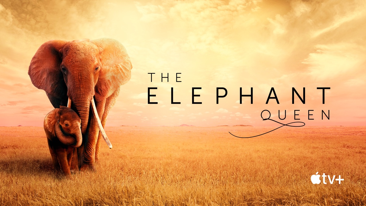 ‎Ver The Elephant Queen - Apple TV+