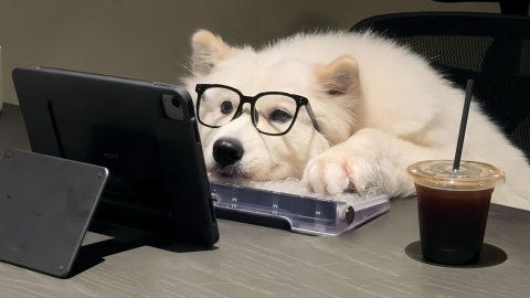 Traini App Reviews – Features, Pricing & User Ratings