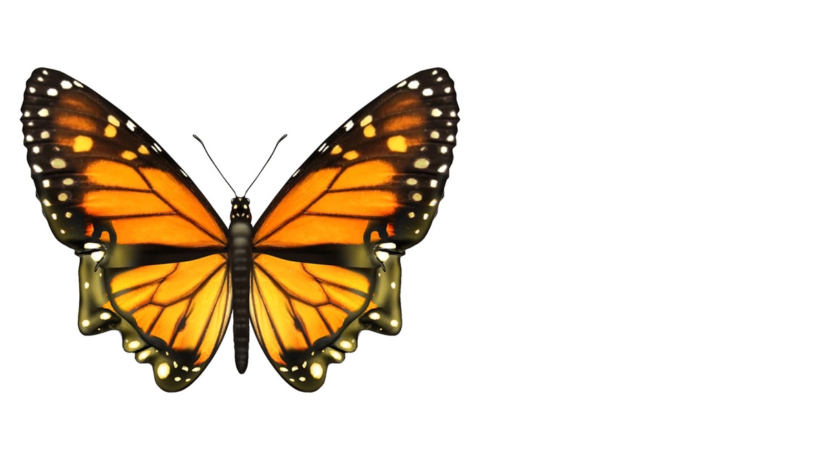 Life With Multiple Sclerosis - Apple TV