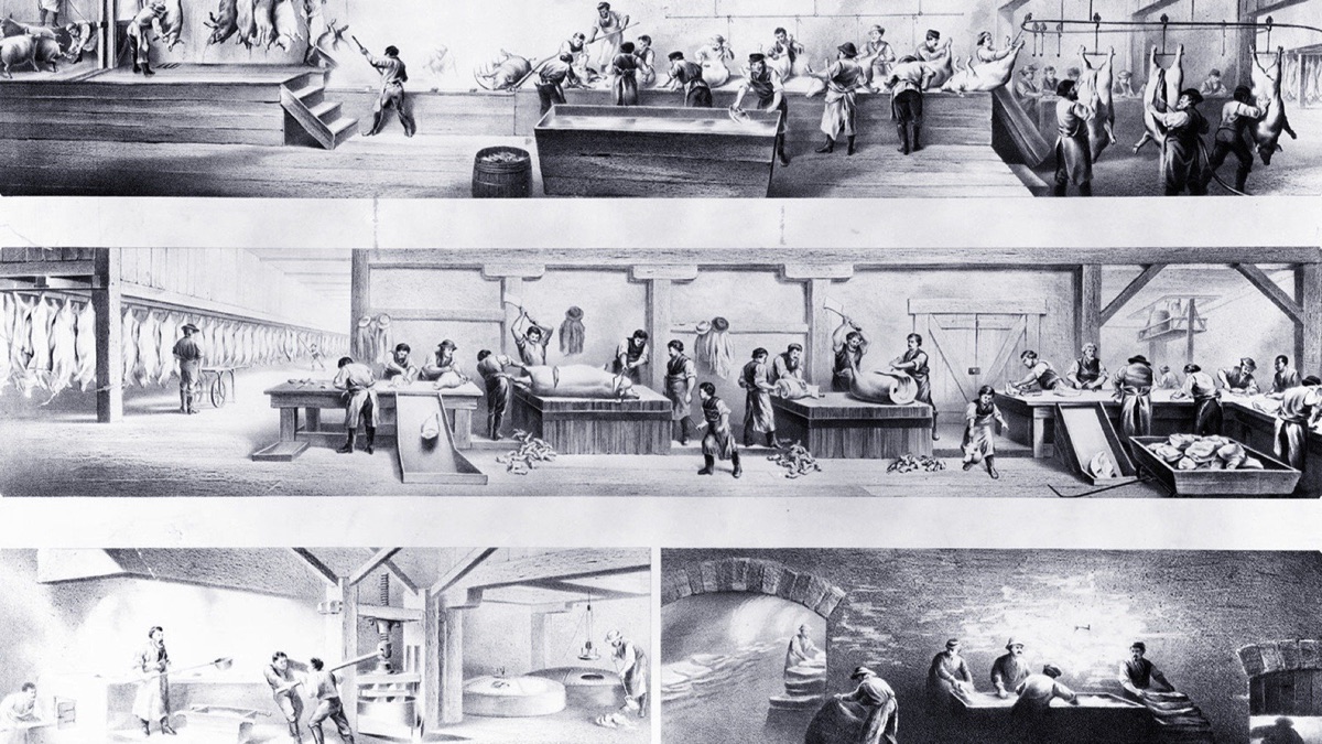 ‎Food Preservation - Understanding the Inventions That Changed the ...
