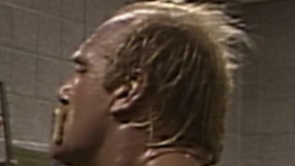 The Mega Powers Explode - WrestleMania Rewind (Season 1, Episode 11 ...