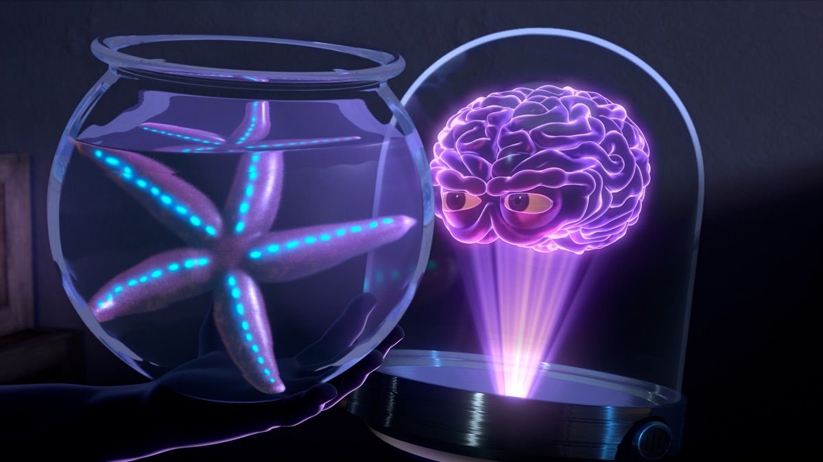 Megamind vs. Dude Monkey – Megamind Rules! (Season 1, Episode 1 ...