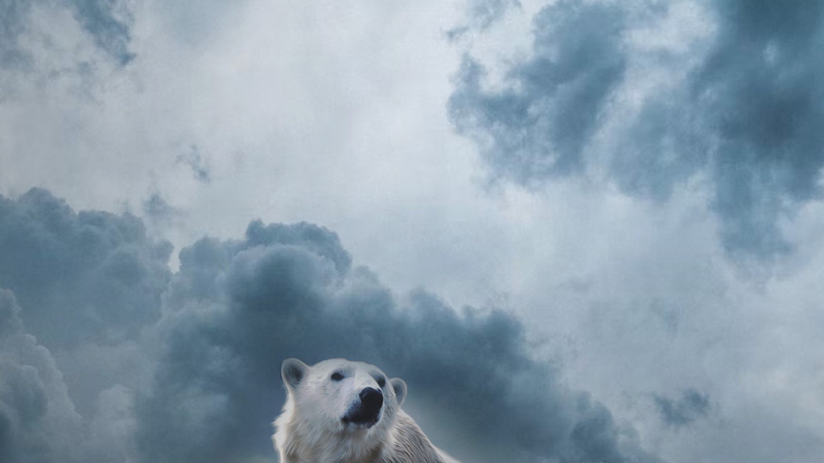 ‎Climate Change, Nature, and the Environment: What We Know and What We ...