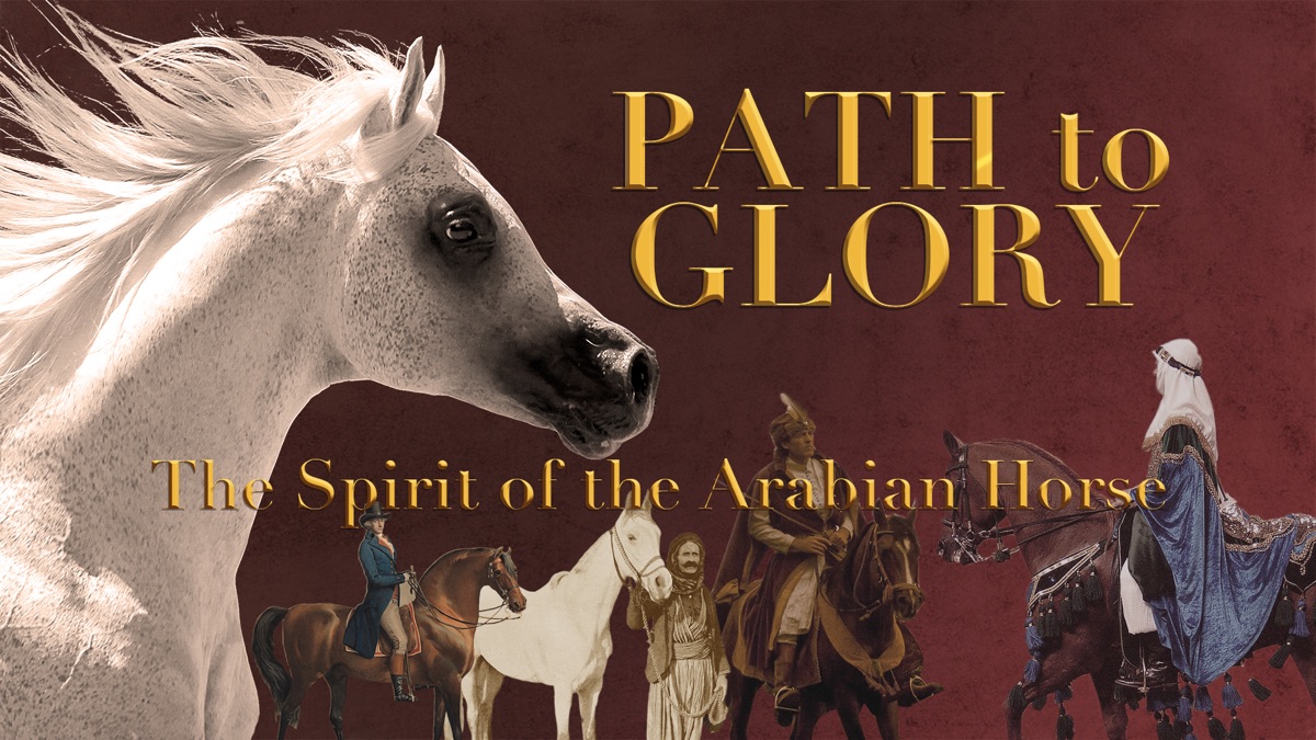 Path to Glory - Apple TV