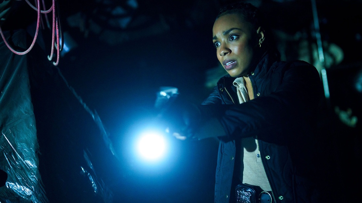 ‎Bad Things - Law & Order: Special Victims Unit (Series 24, Episode 21 ...