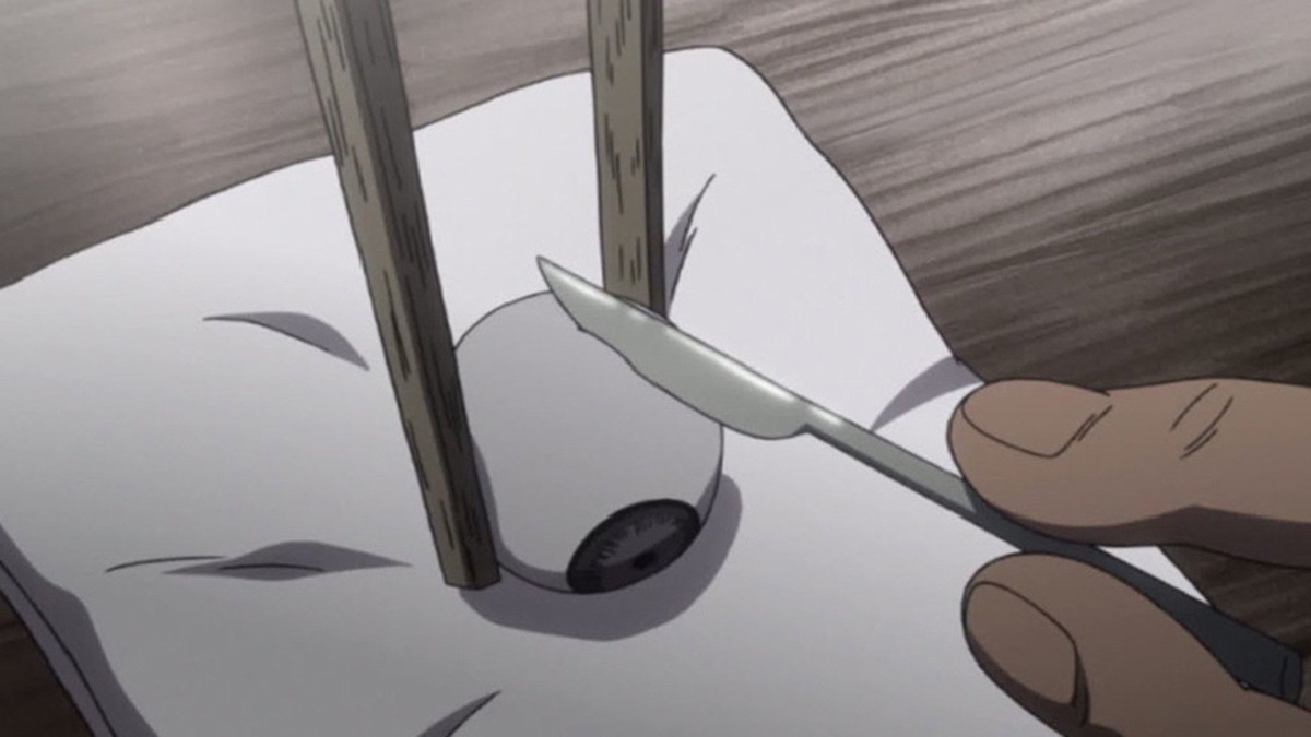 ‎Ojo de la fortuna, ojo del infortunio - Mushishi (Temporada 1 ...
