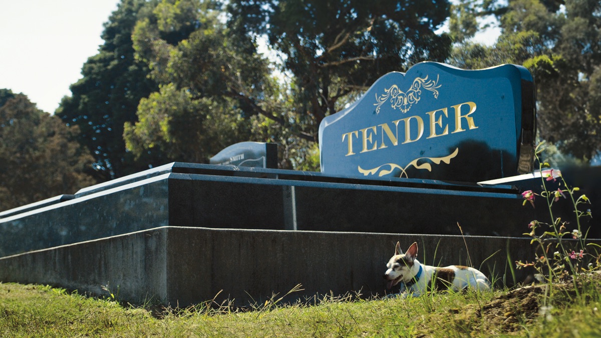 ‎Tender - Apple TV