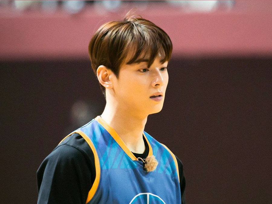 Handsome Tigers - Apple TV