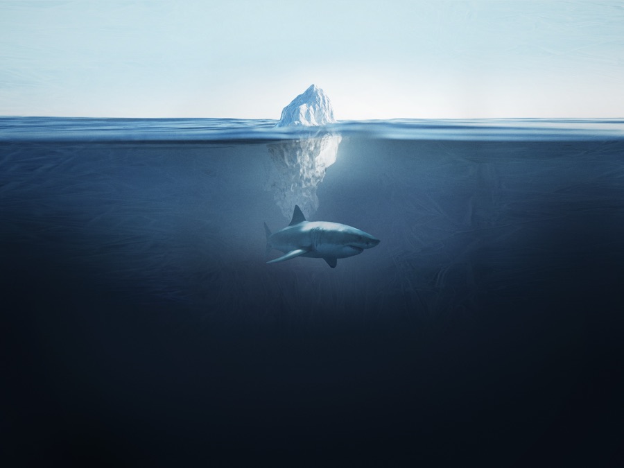 Shark Below Zero - Apple TV