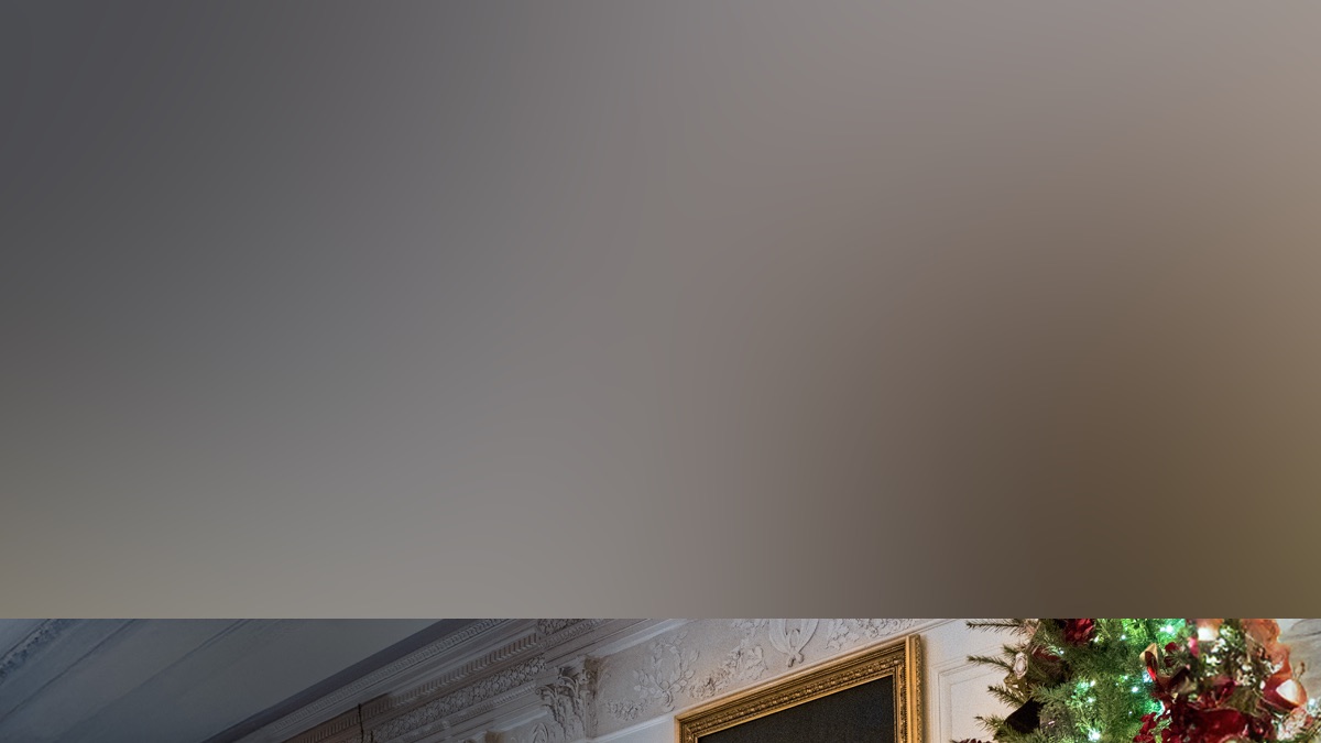 ‎White House Christmas 2025 - Apple TV