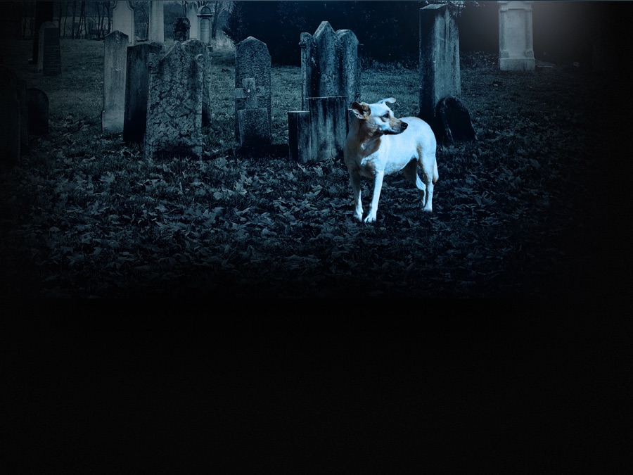 The Haunted - Apple TV