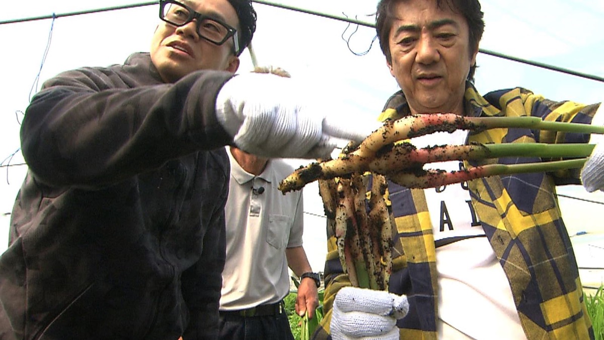 Kunou Spring Ginger - Dining Al Fresco (Season 1, Episode 44) - Apple TV