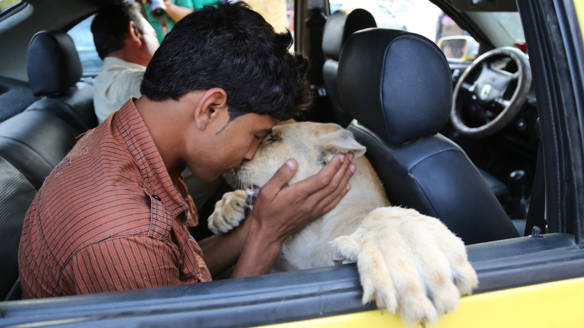 Episode 2 - Wild Animal Rescue (Series 1, Episode 2) - Apple TV (NO)