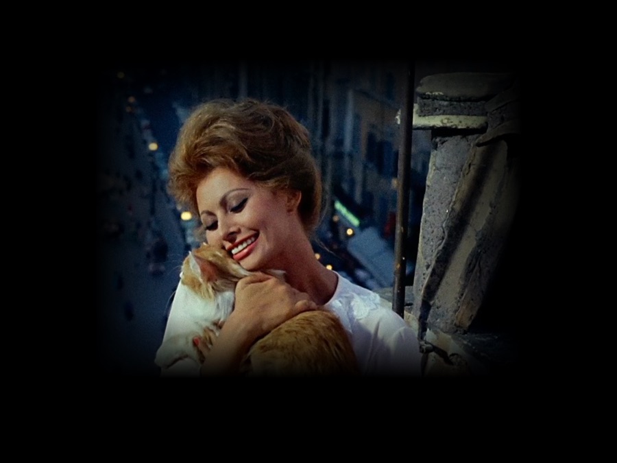 Yesterday, Today and Tomorrow - Apple TV