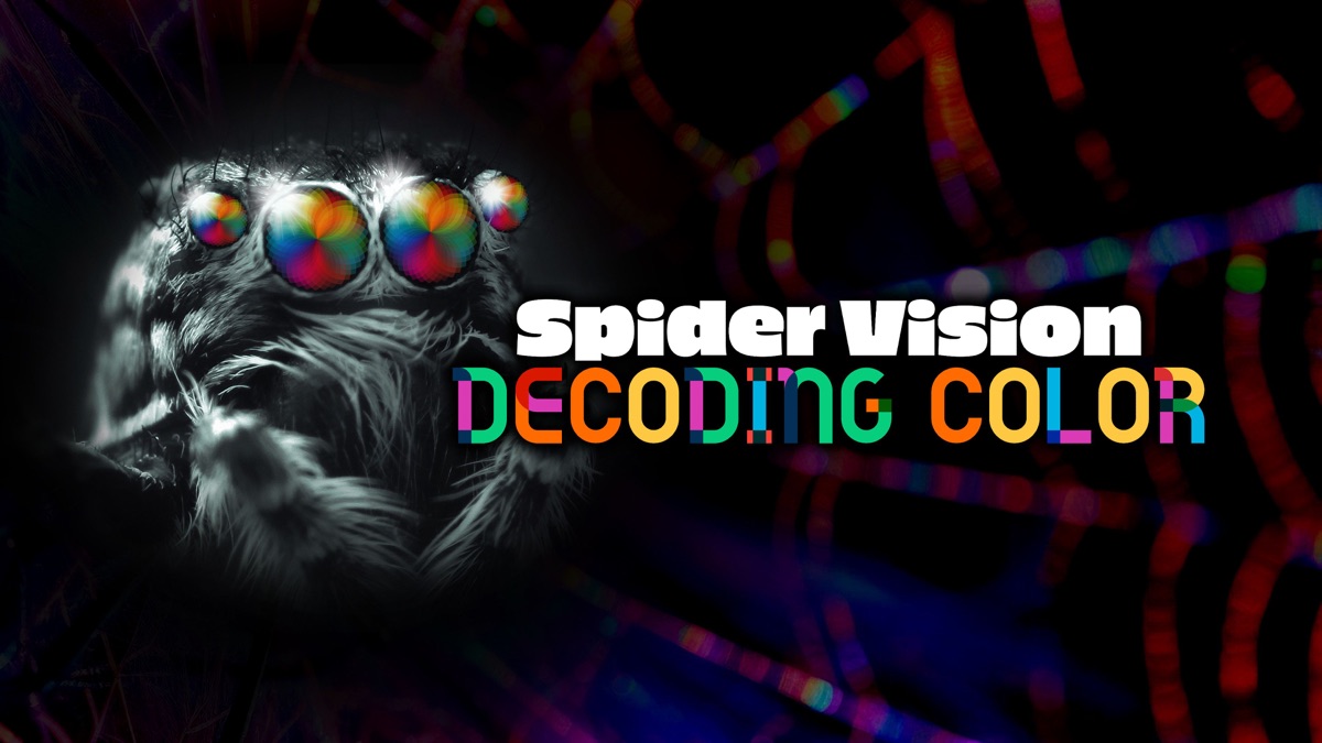 ‎Spider Vision: Decoding Color - Apple TV