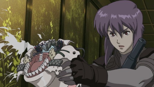 Section 9 - Ghost in the Shell: Stand Alone Complex (Season 1, Episode ...