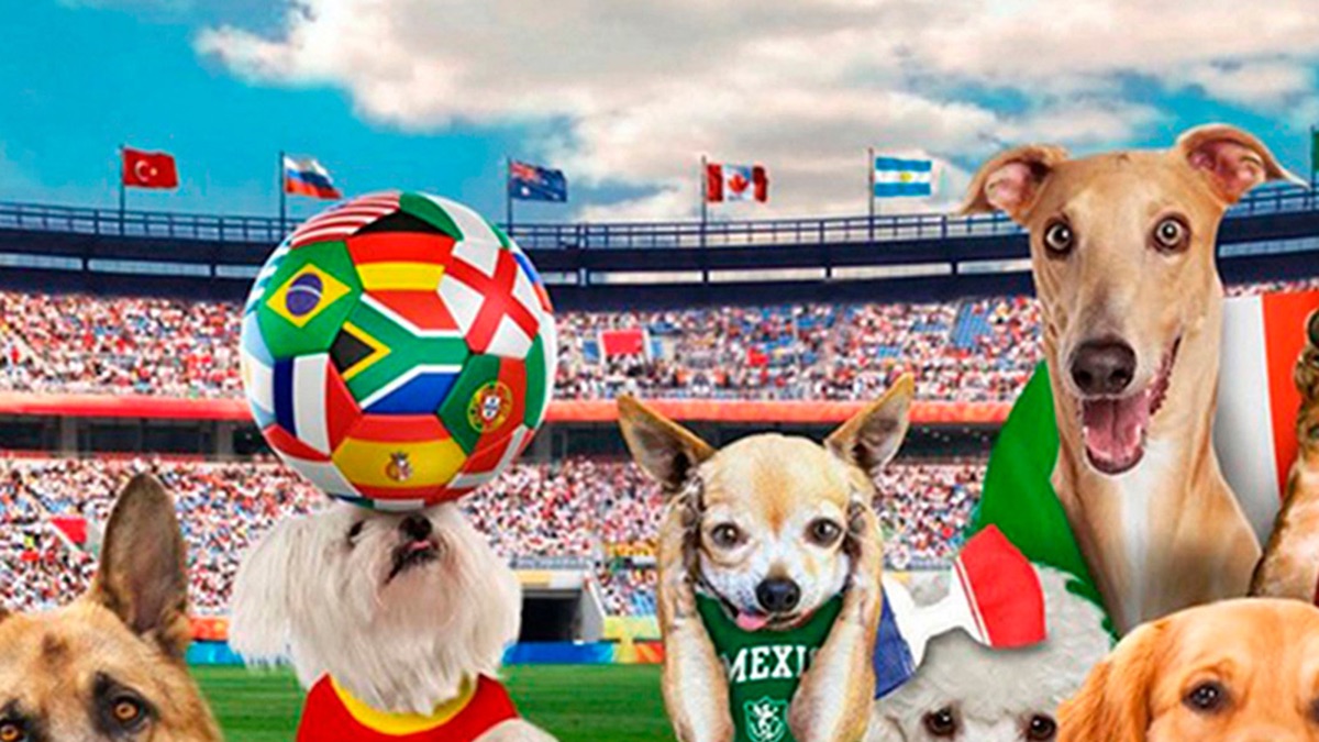 ‎Pups United - Apple TV