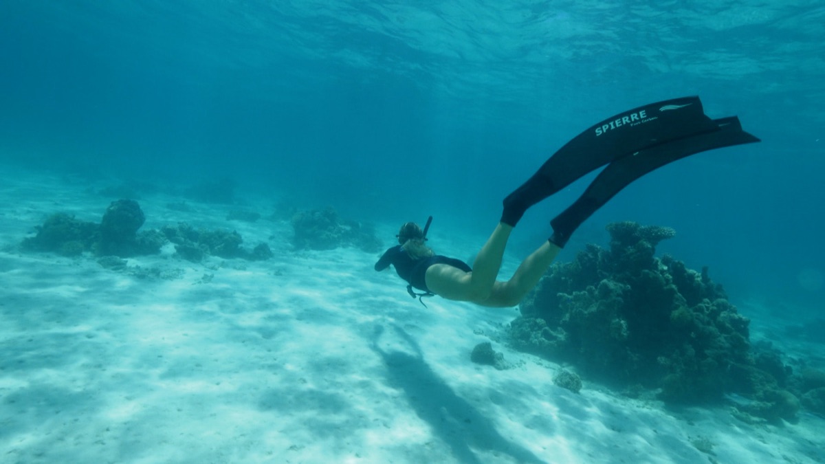 Isolation Nation - Only In Australia (Series 1, Episode 6) - Apple TV (UK)