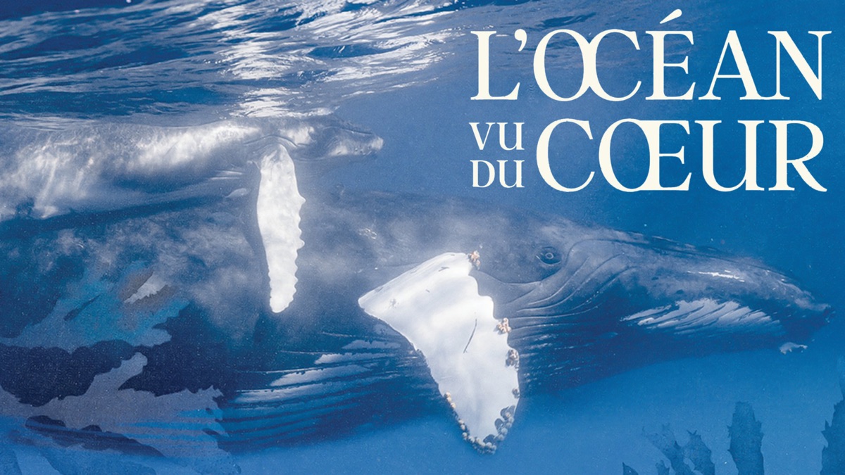 ‎L'Océan vu du cœur - Apple TV
