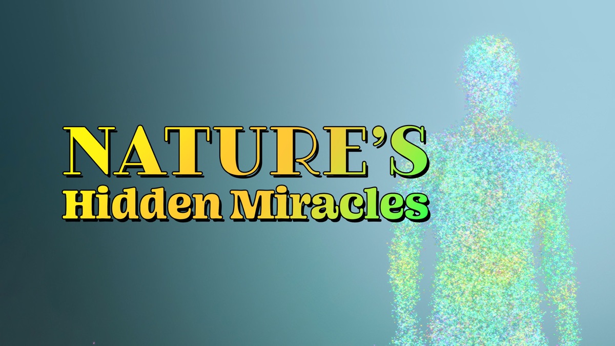 Microorganisms, The Invisible Ruler - Nature's Hidden Miracles (Season ...