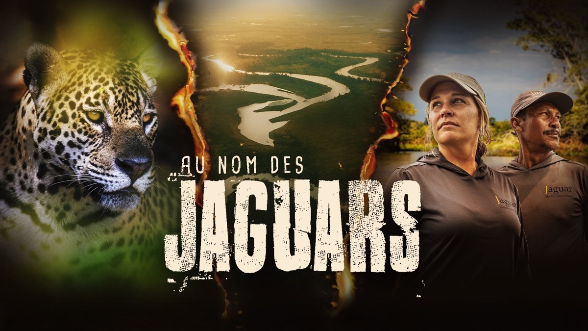 Au nom des jaguars - Apple TV (FR)