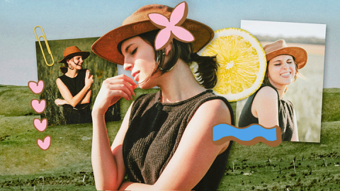 Snake Year, New Stickers! - Major Update by InShot | January 19, 2025 ...