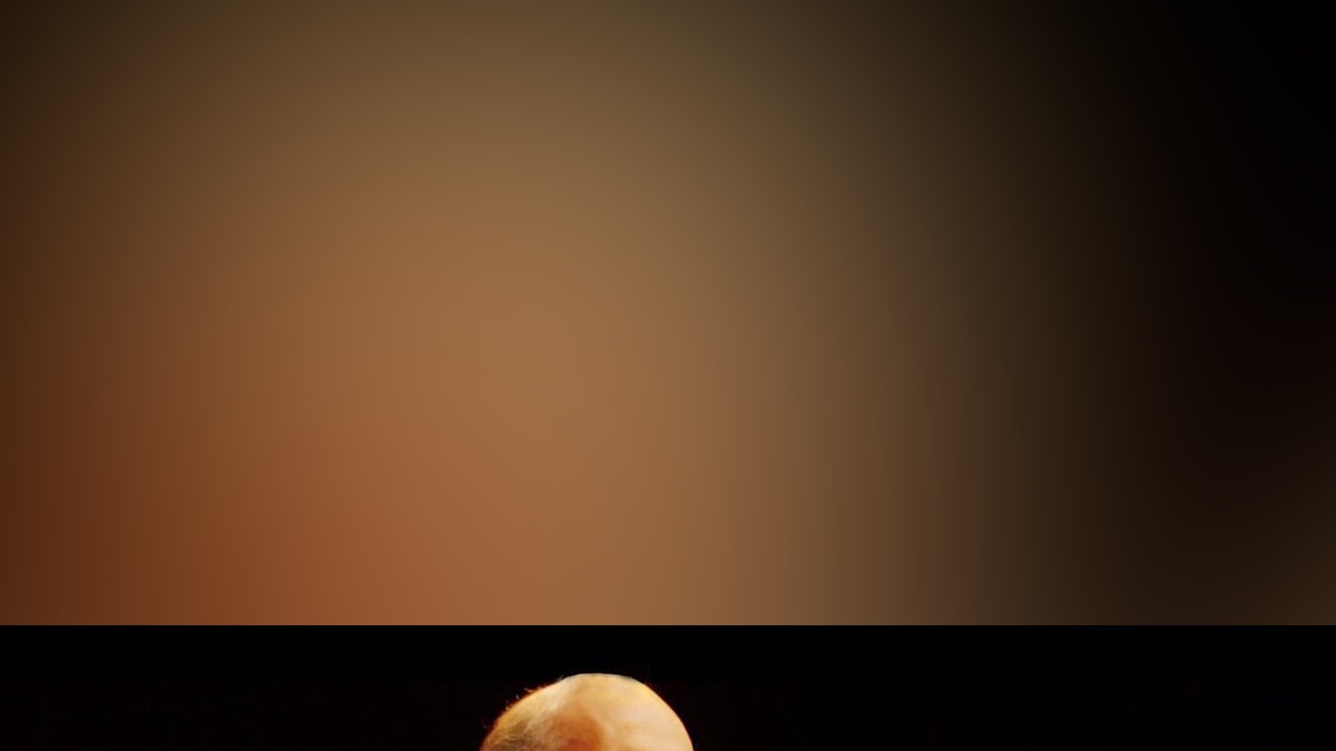 ‎John Scofield's Long Days Quartet - Casa del Jazz Summertime - Apple TV