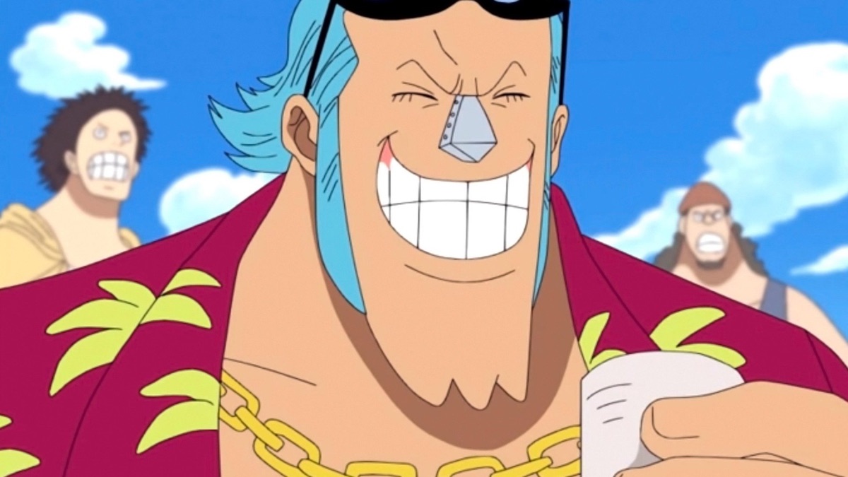 The Straw Hat Pirates Are the Culprits! The Protectors of the City of ...
