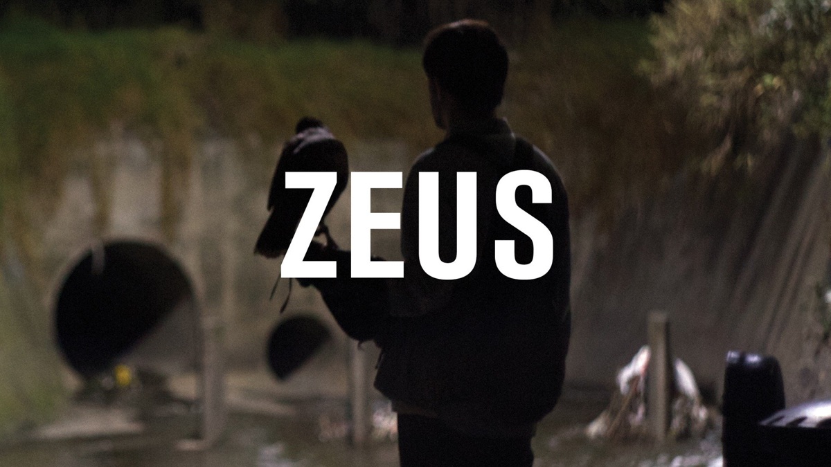 ‎Zeus - Apple TV