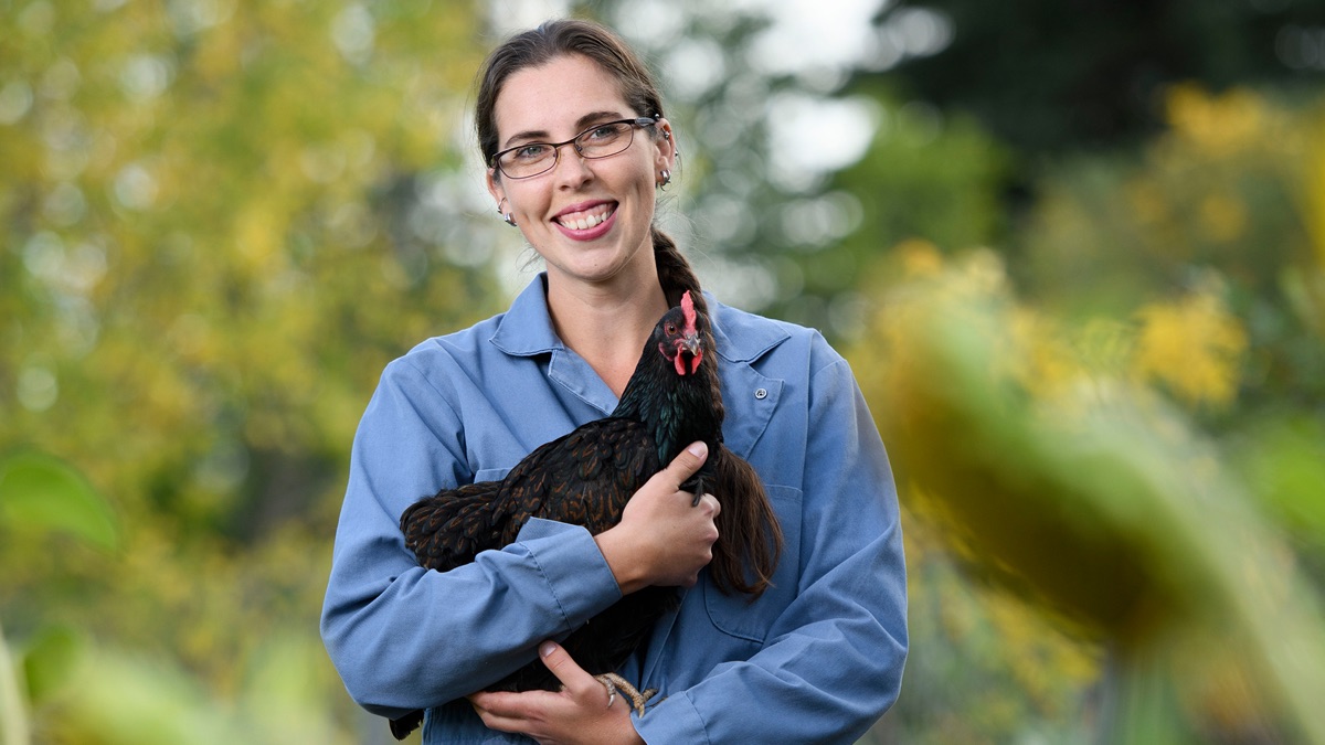 Dog's Best Friend - Rocky Rapids Vet 9-1-1 (Season 1, Episode 6) - Apple TV