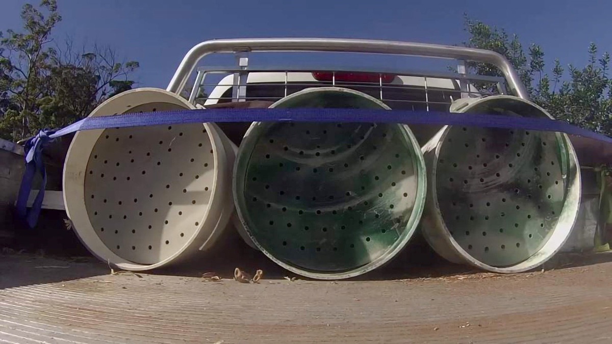 Devil 'D' Day – Devil Island (Season 1, Episode 2) - Apple TV (NZ)