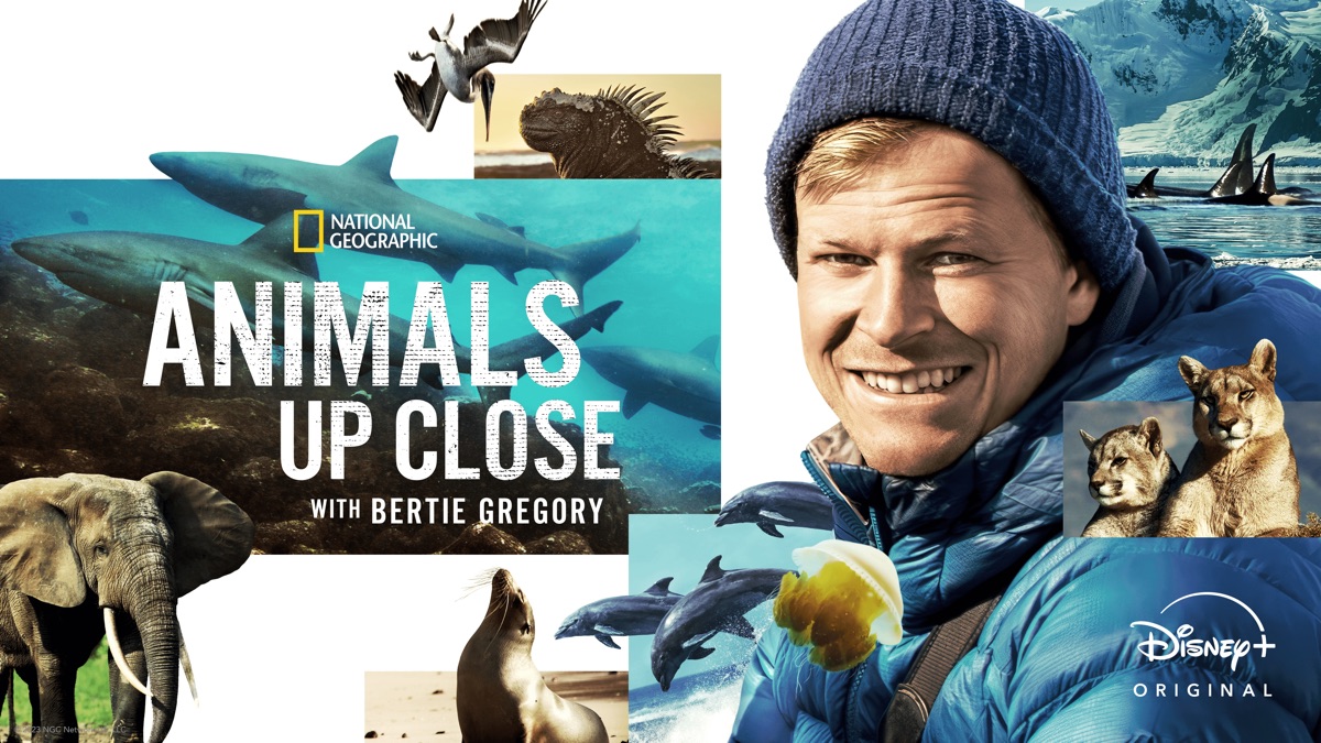 Animals Up Close with Bertie Gregory》- Apple TV