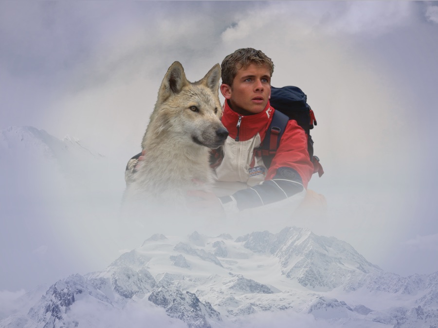 Shane Meier Silver Wolf