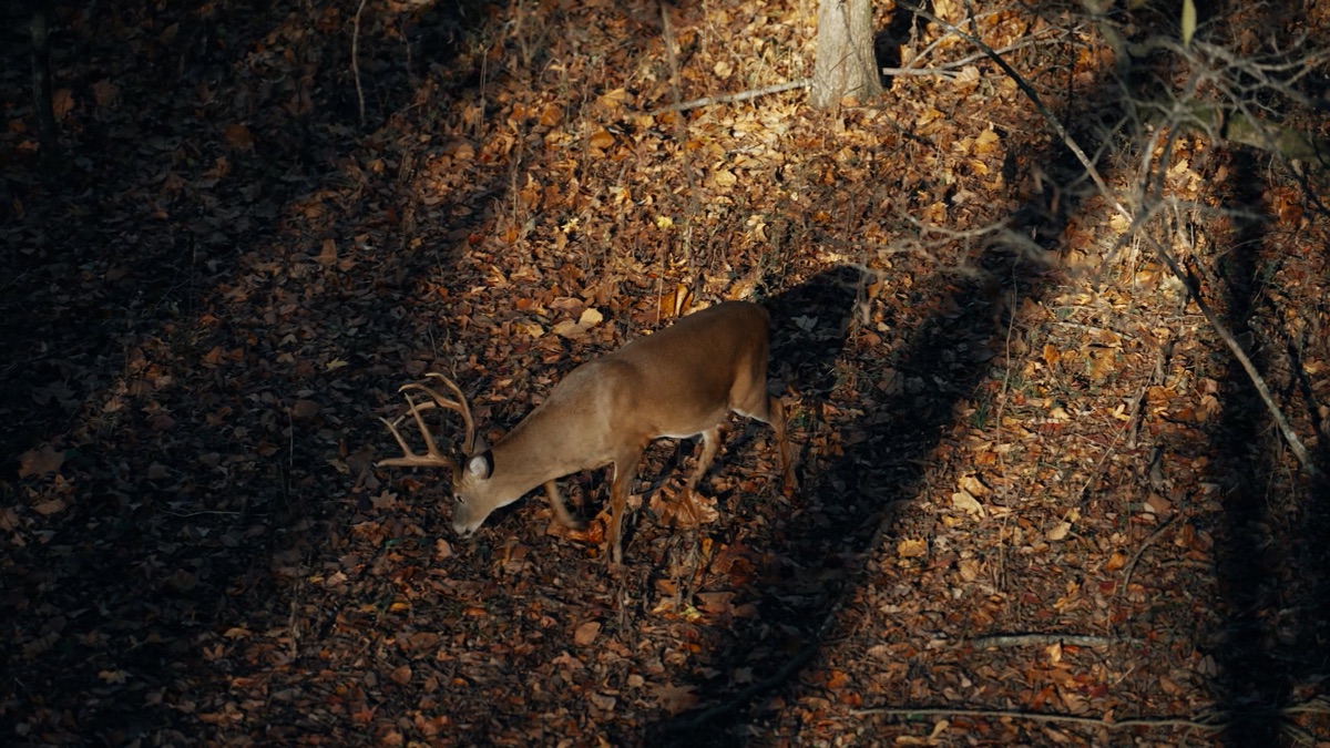 Switchback Bowlife Season 13 Episode 4 Apple Tv