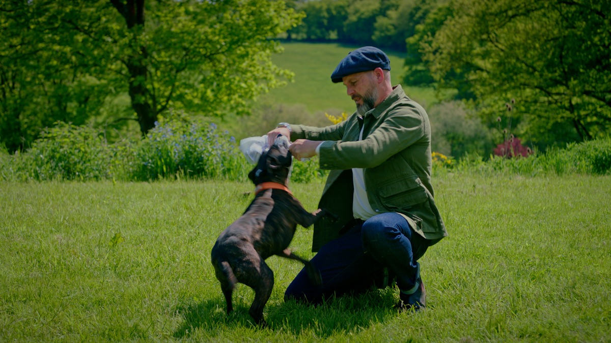 ‎Power of Play - Steve Mann: Dog Training (Series 1, Episode 17 ...