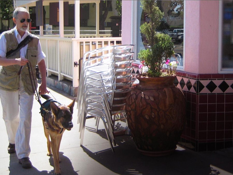 Dark Light: The Art of Blind Photographers - Apple TV